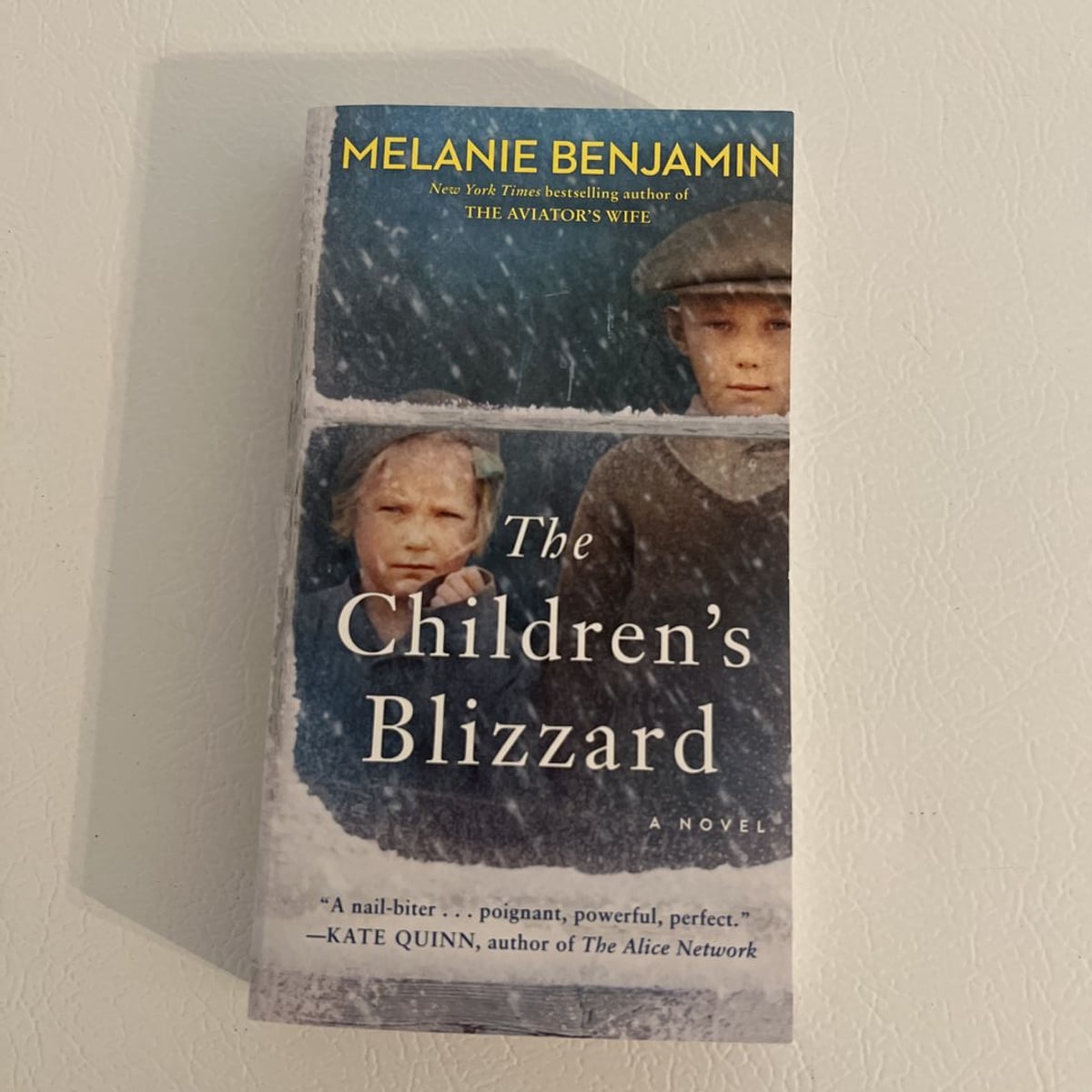 The Children's Blizzard by Melanie Benjamin