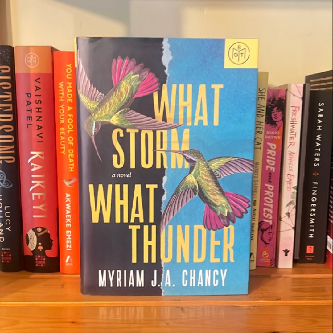 What Storm, What Thunder by Myriam J. A. Chancy