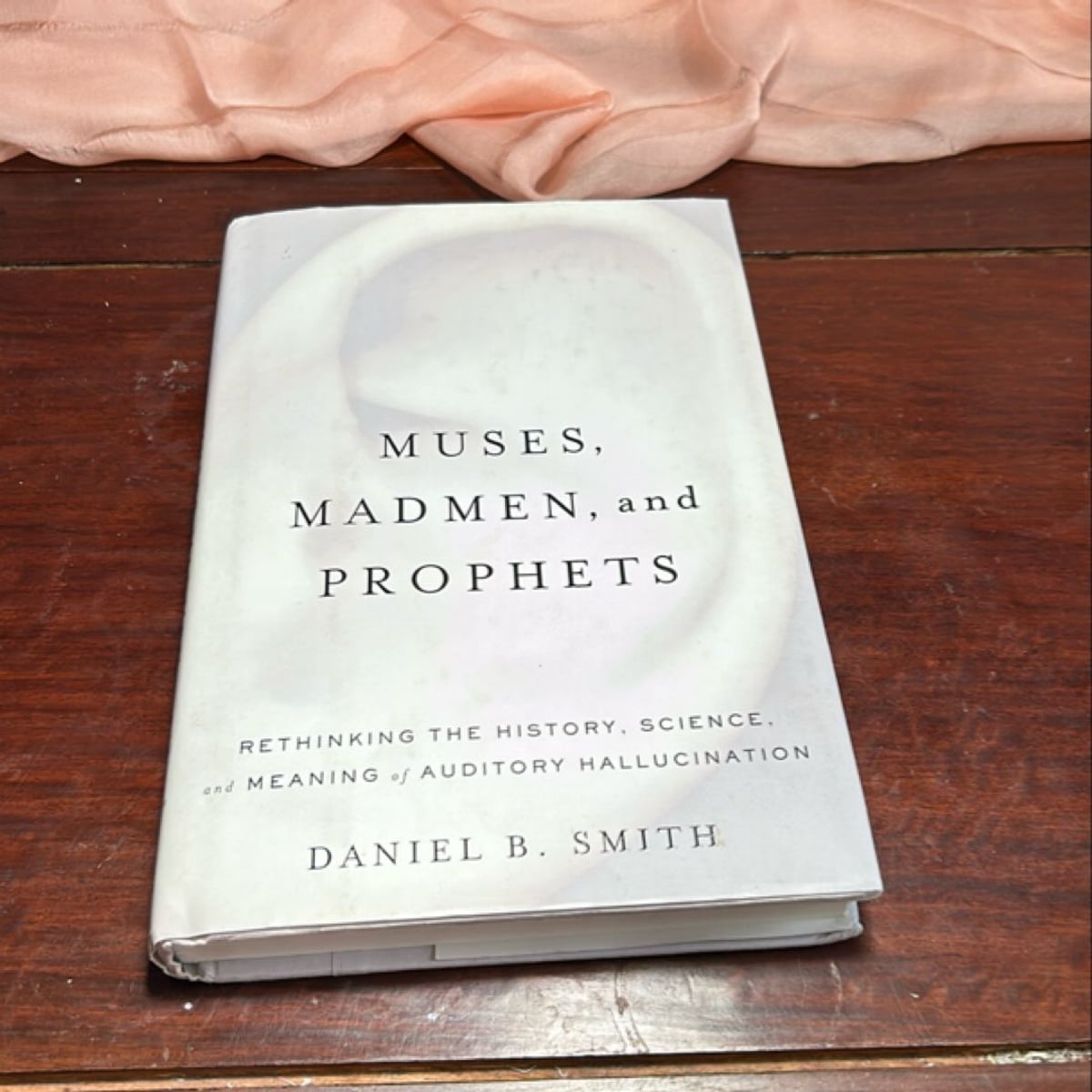 Muses, Madmen, and Prophets by Daniel B. Smith