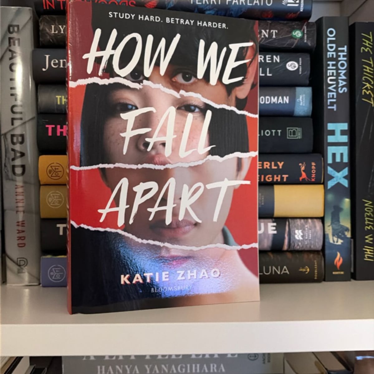 How We Fall Apart by Katie Zhao