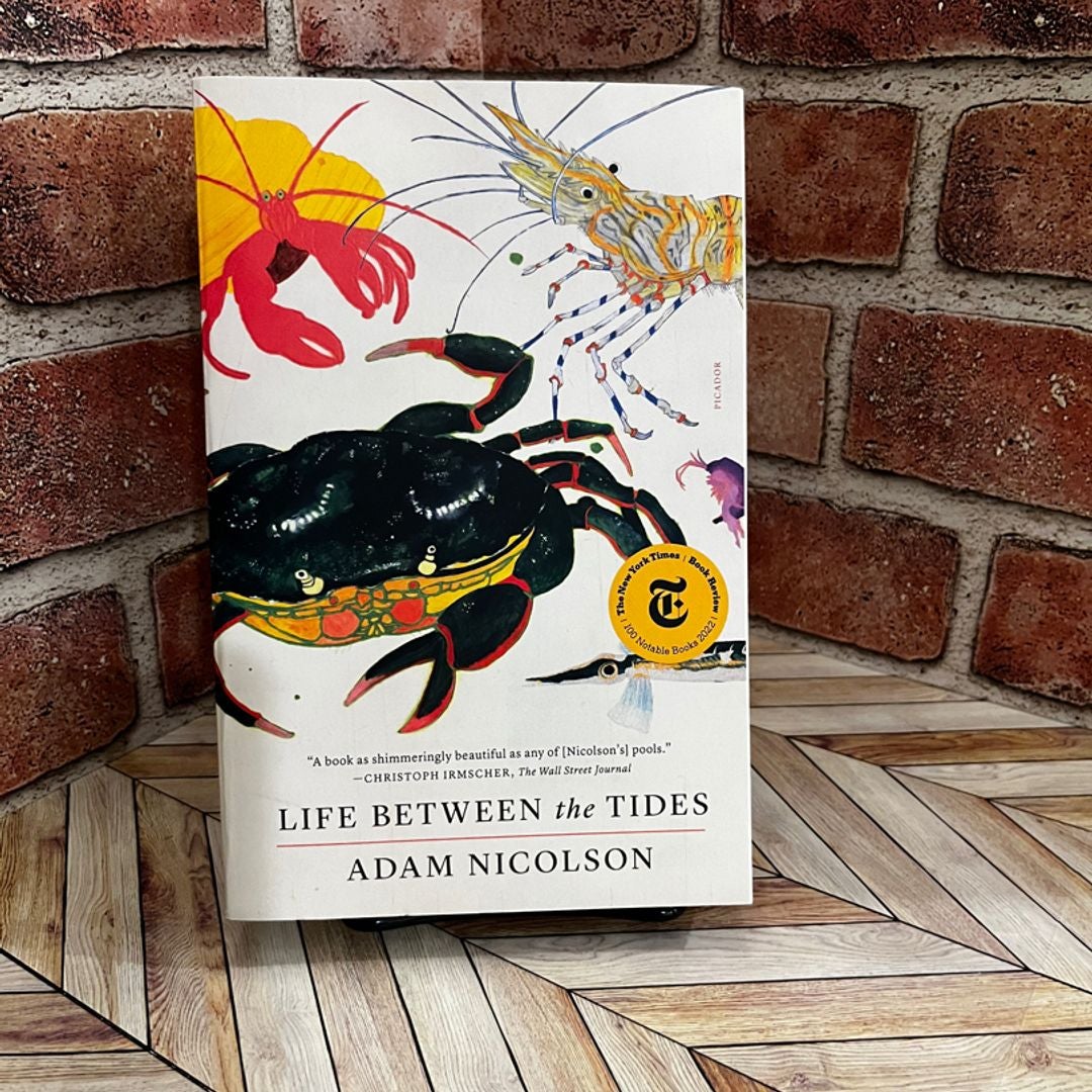 Life Between the Tides by Adam Nicolson, Paperback | Pangobooks