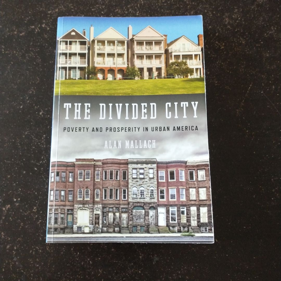 The Divided City by Alan Mallach