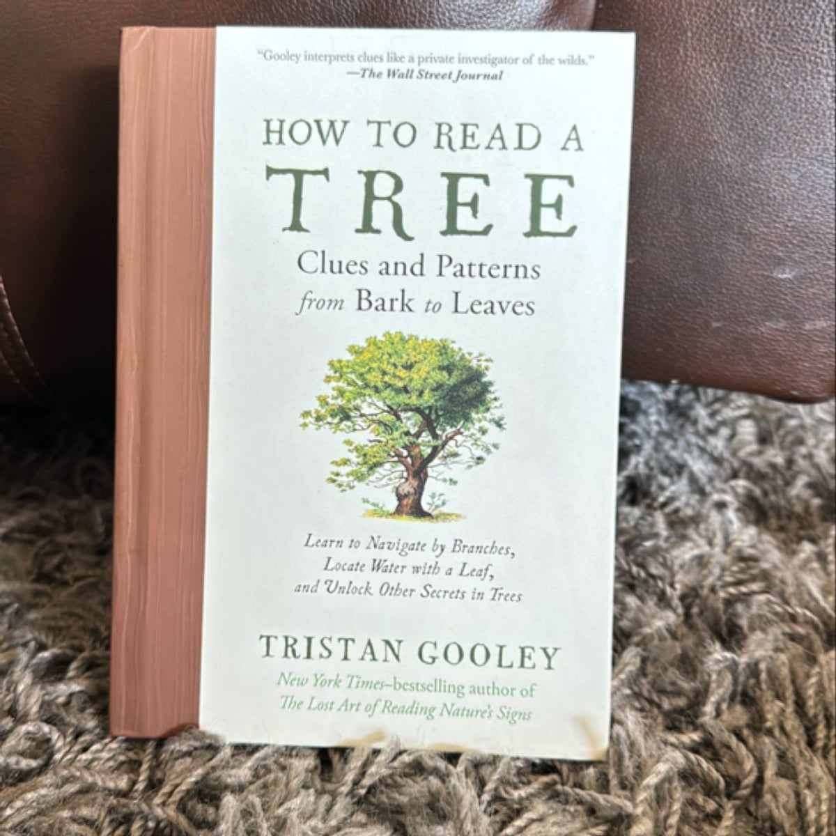 How to Read a Tree by Tristan Gooley, Hardcover | Pangobooks