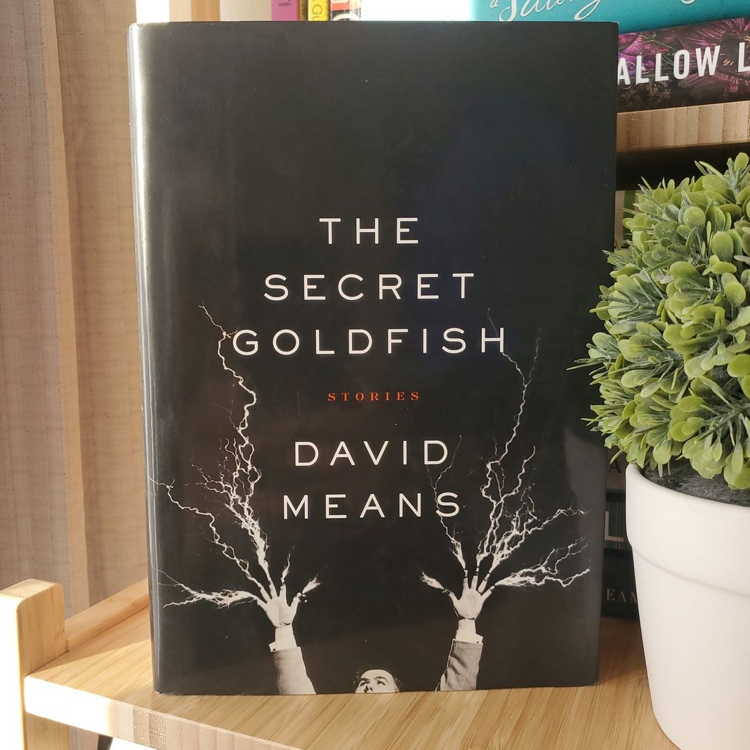 The Secret Goldfish by David Means