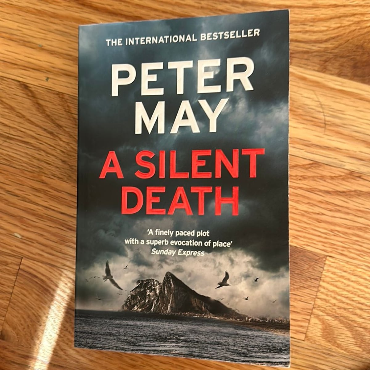 A Silent Death by Peter May