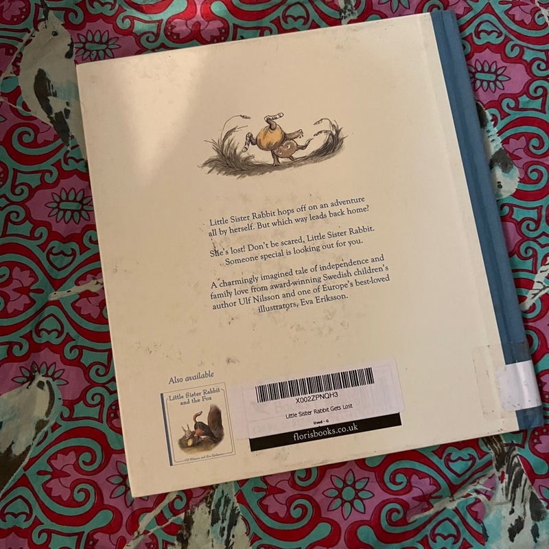 Little Sister Rabbit Gets Lost by Ulf Nilsson, Hardcover | Pangobooks
