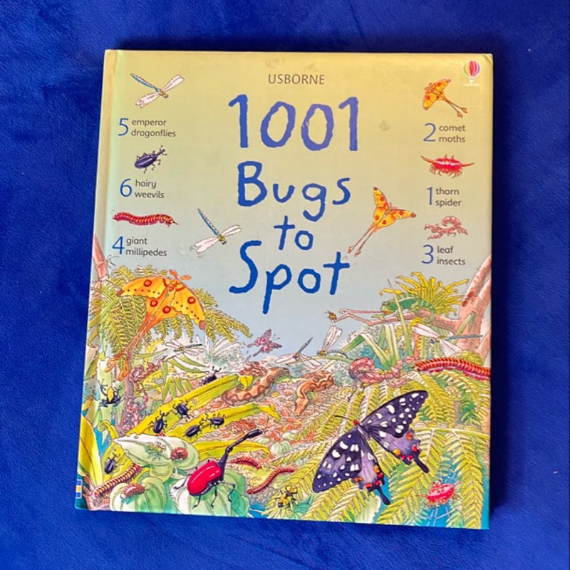 1001 Bugs to Spot by Emma Helbrough, Natacha Goransky, Anna Milbourne