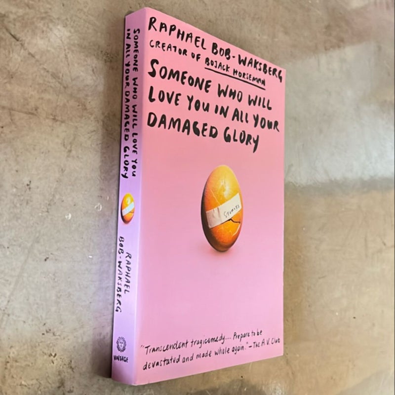 Someone Who Will Love You in All Your Damaged Glory by Raphael Bob-Waksberg, Paperback | Pangobooks