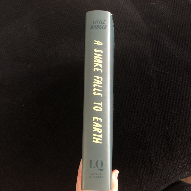 A snake Falls To Earth by Darcie Little Badger, Hardcover | Pangobooks