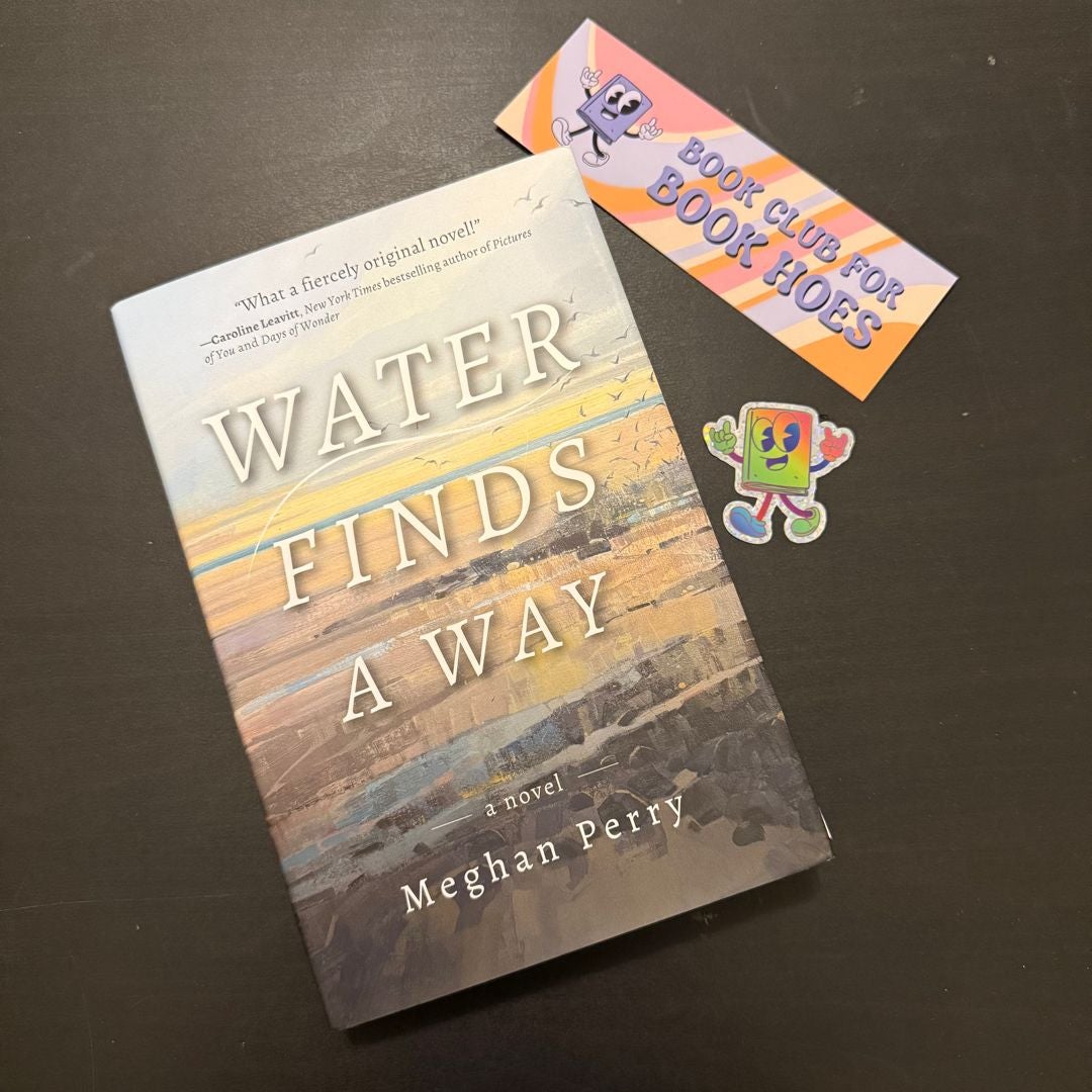 Water Finds a Way by Meghan Perry