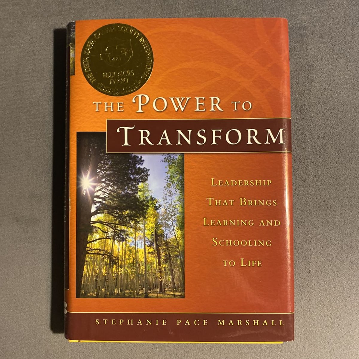 The Power to Transform by Stephanie Pace Marshall