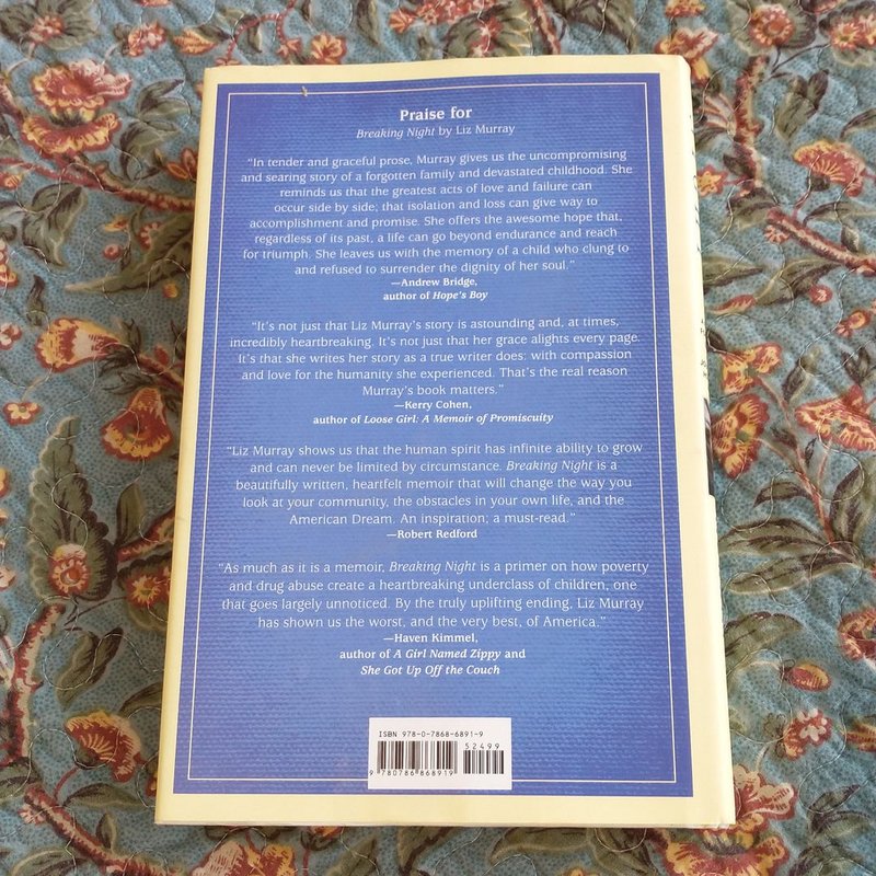 Breaking Night by Liz Murray