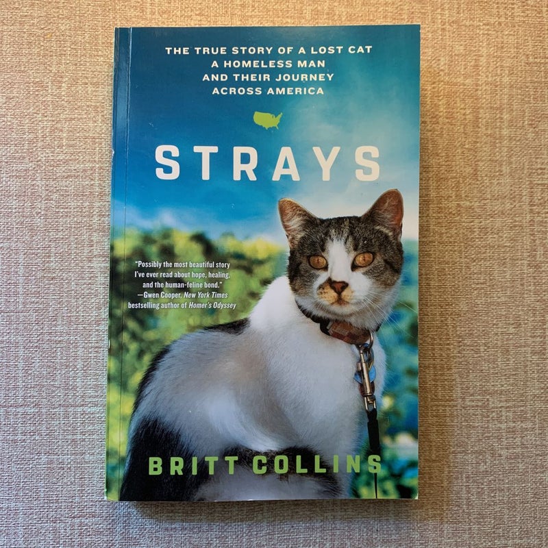 Strays by Britt Collins, Jeffrey Moussaieff Masson