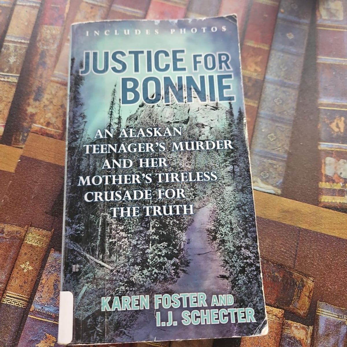 Justice for Bonnie by Karen Foster, I. J. Schecter