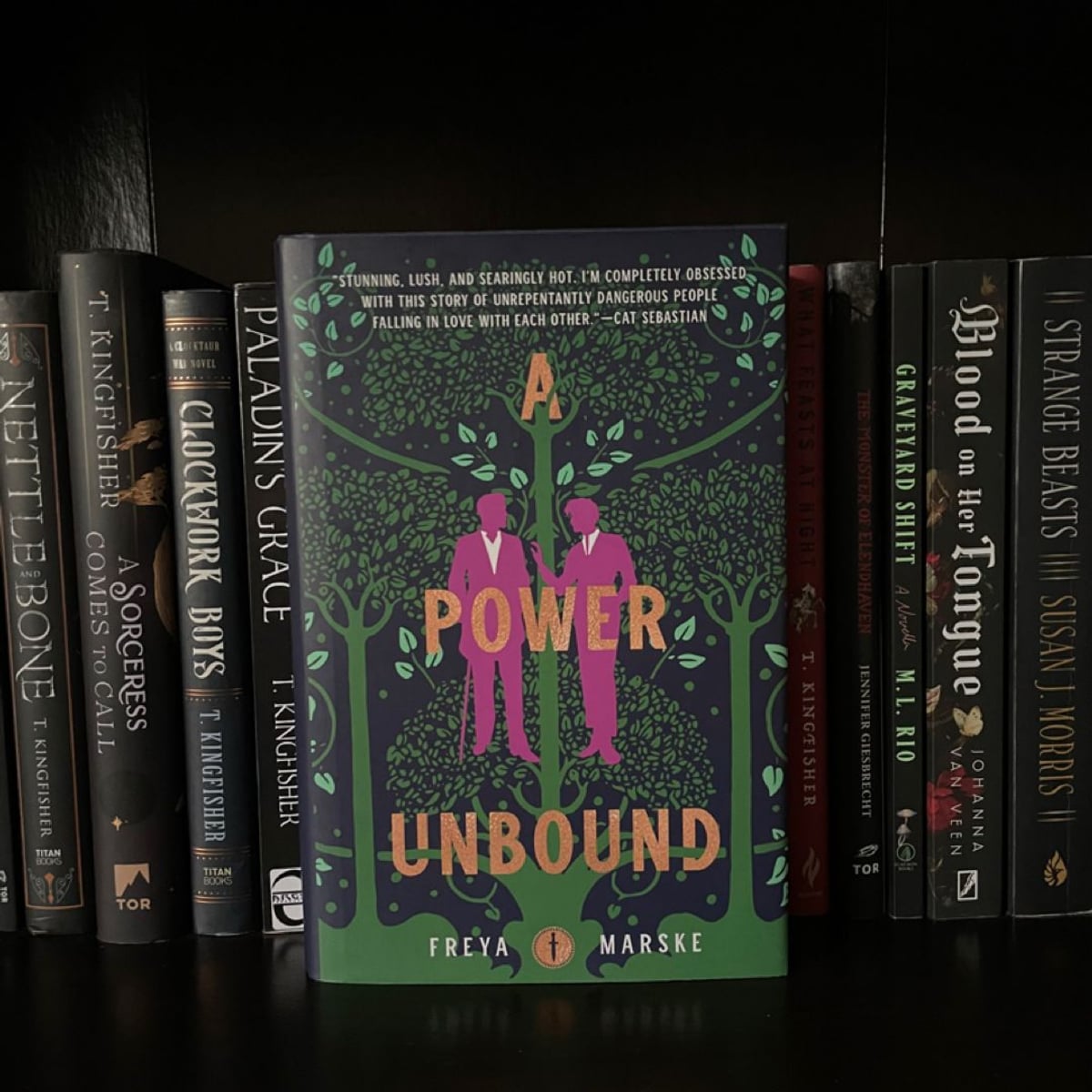 A Power Unbound by Freya Marske