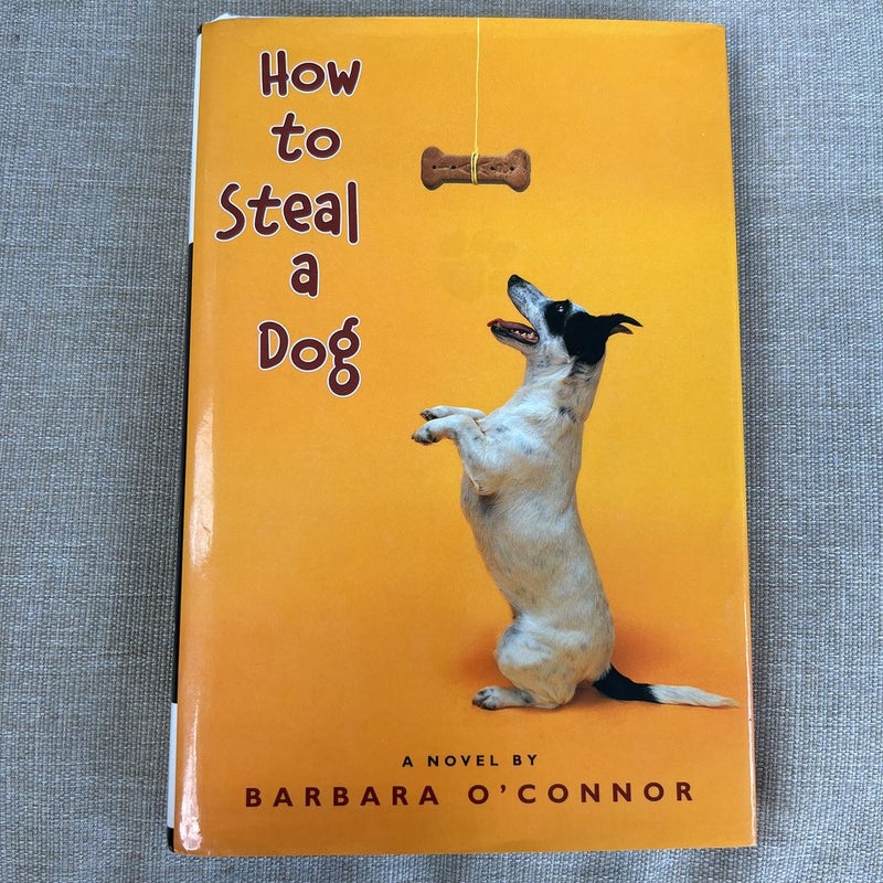How to Steal a Dog by Barbara O'Connor, Hardcover | Pangobooks