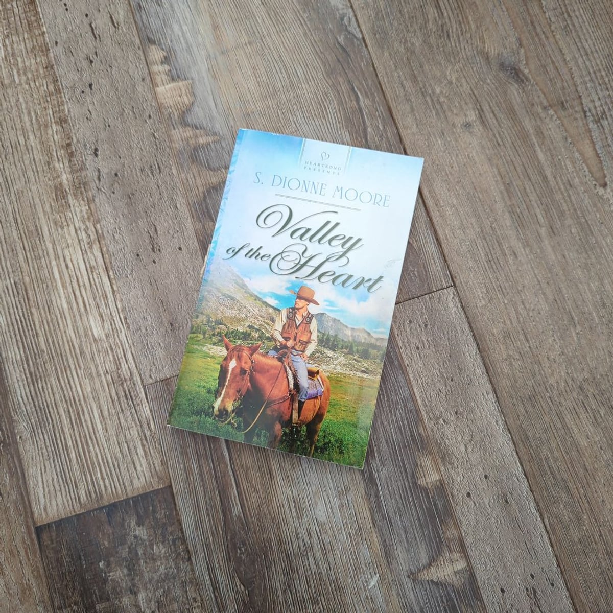 Valley of the Heart by S. Dionne Moore, Paperback | Pangobooks