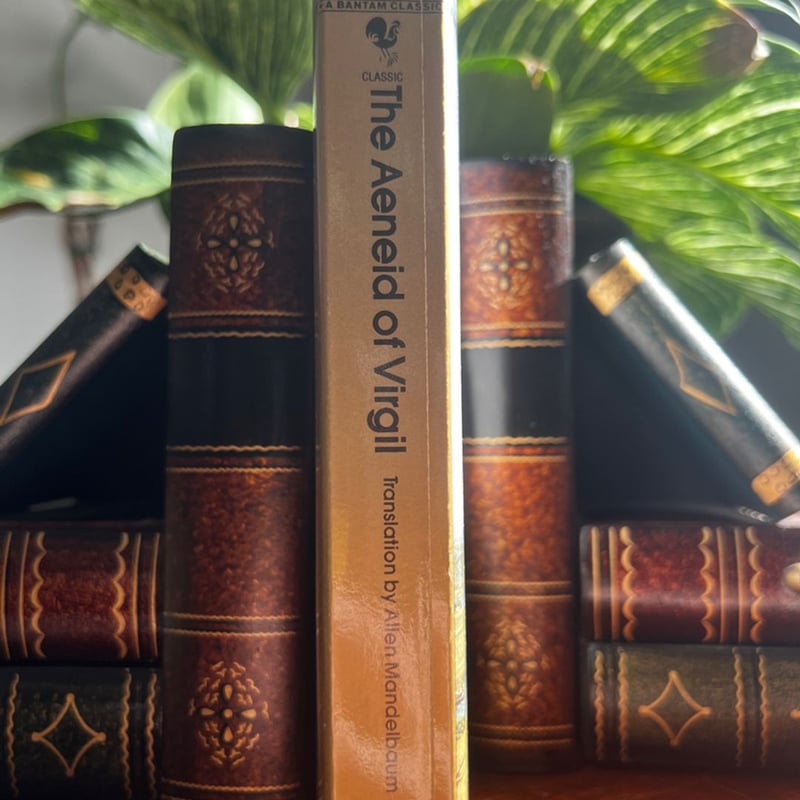 The Aeneid of Virgil by Allen Mandelbaum, Paperback | Pangobooks