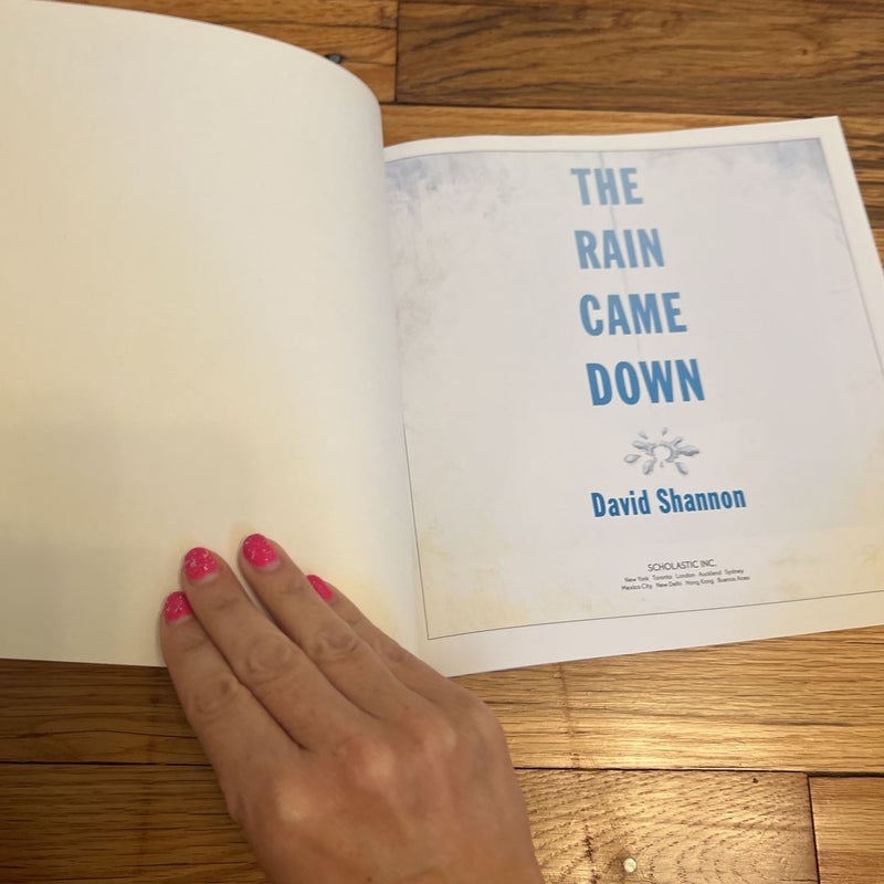 The Rain Came Down by David Shannon , Paperback | Pangobooks
