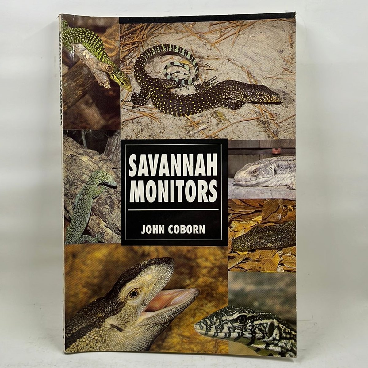 Savannah Monitors by John Coborn