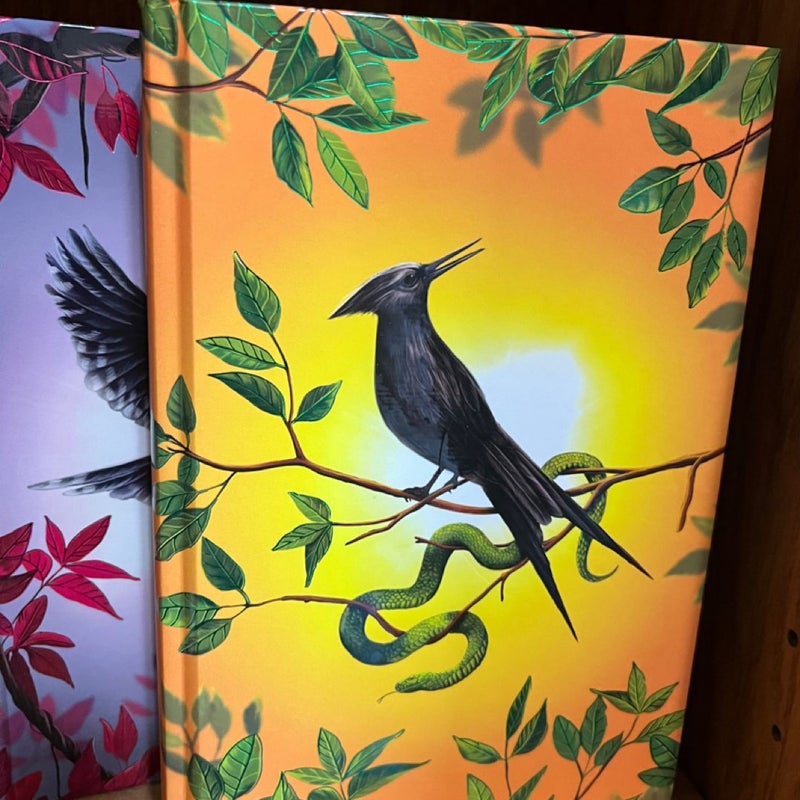 Hunger Games 4-Book Hardcover Box Set (the Hunger Games, Catching Fire ...