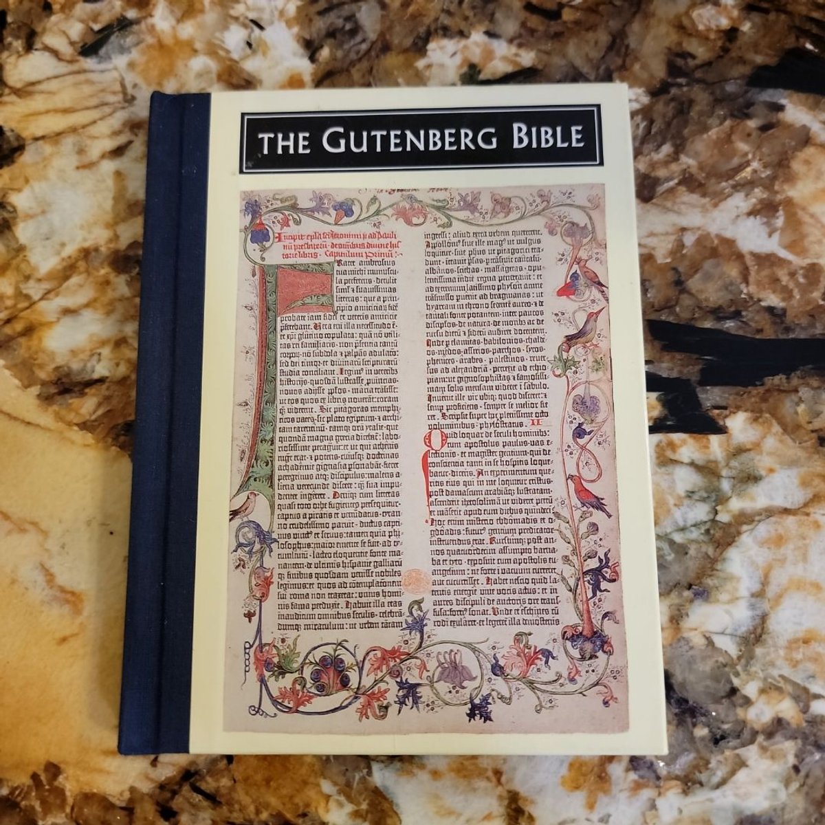 The Gutenberg Bible by Martin Davies