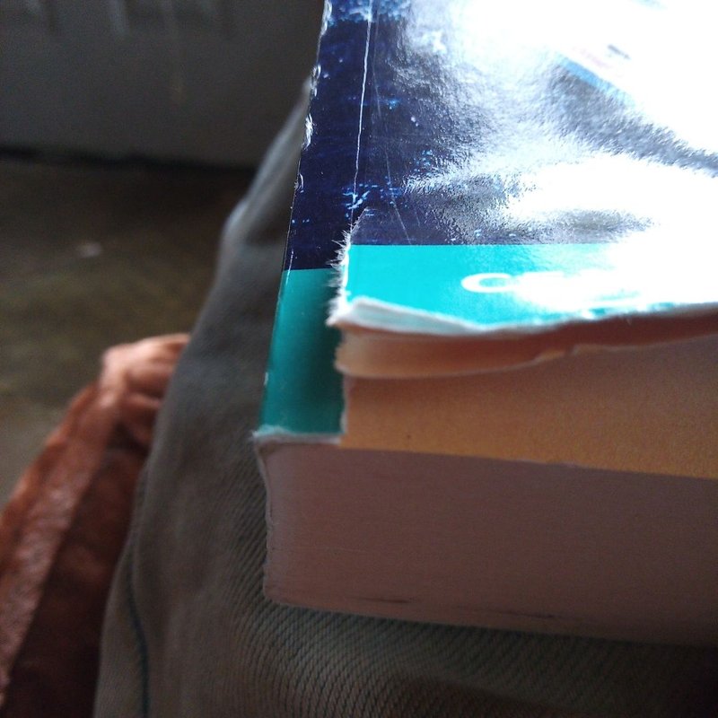 Compass by Peter Scisco; Elaine Biech; George Hallenbeck, Paperback ...