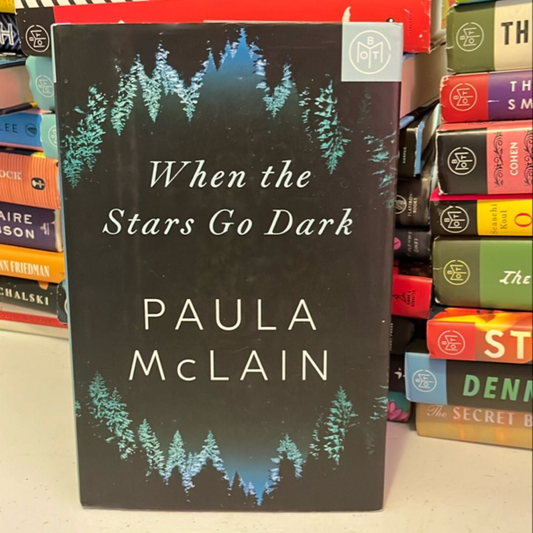 BOTM When the Stars Go Dark by Paula McLain, Hardcover | Pangobooks