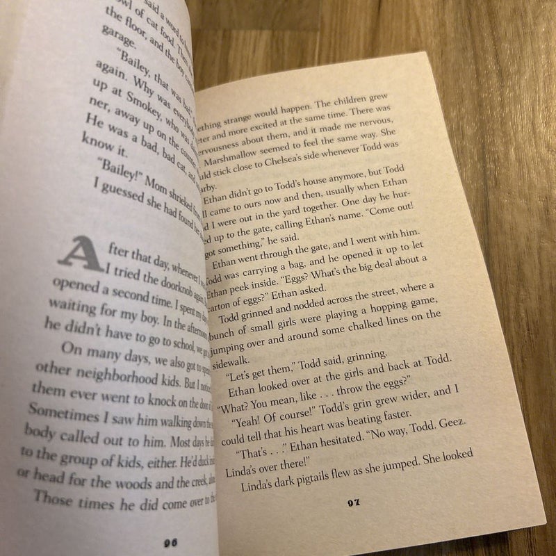 Bailey’s Story by W. Bruce Cameron, Paperback | Pangobooks