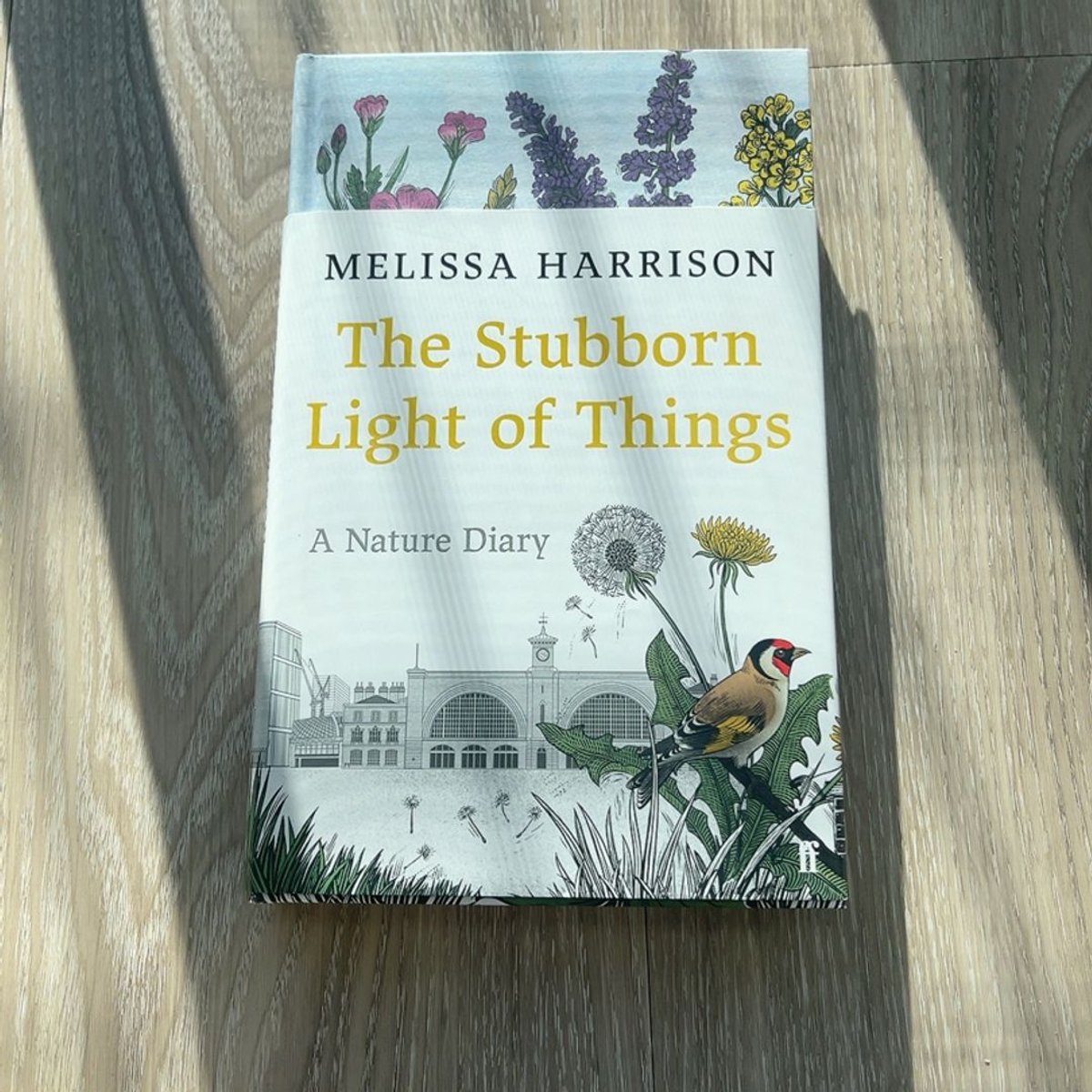 The Stubborn Light of Things by Melissa Harrison