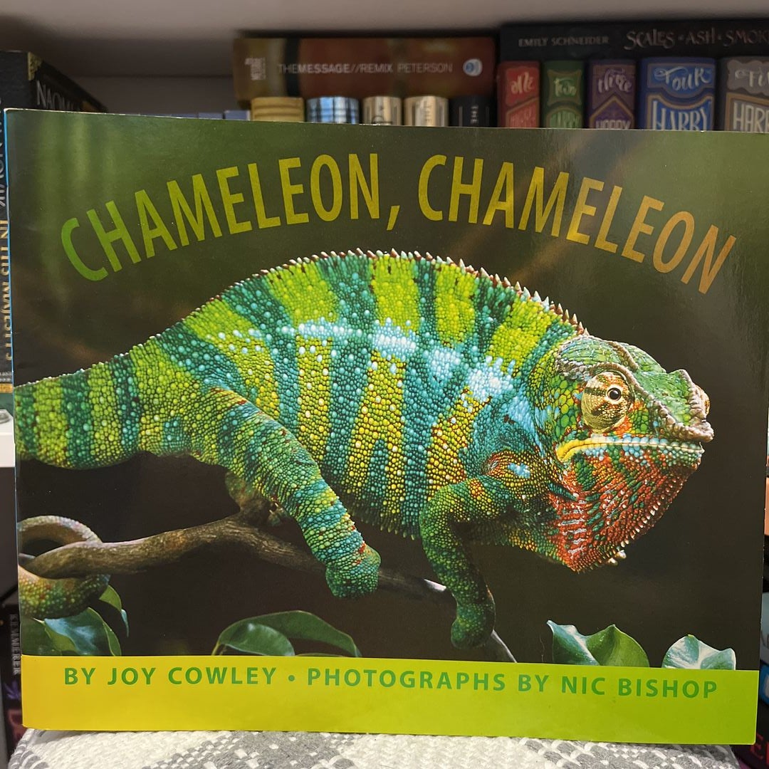 Chameleon, Chameleon by Houghton Mifflin Company Staff