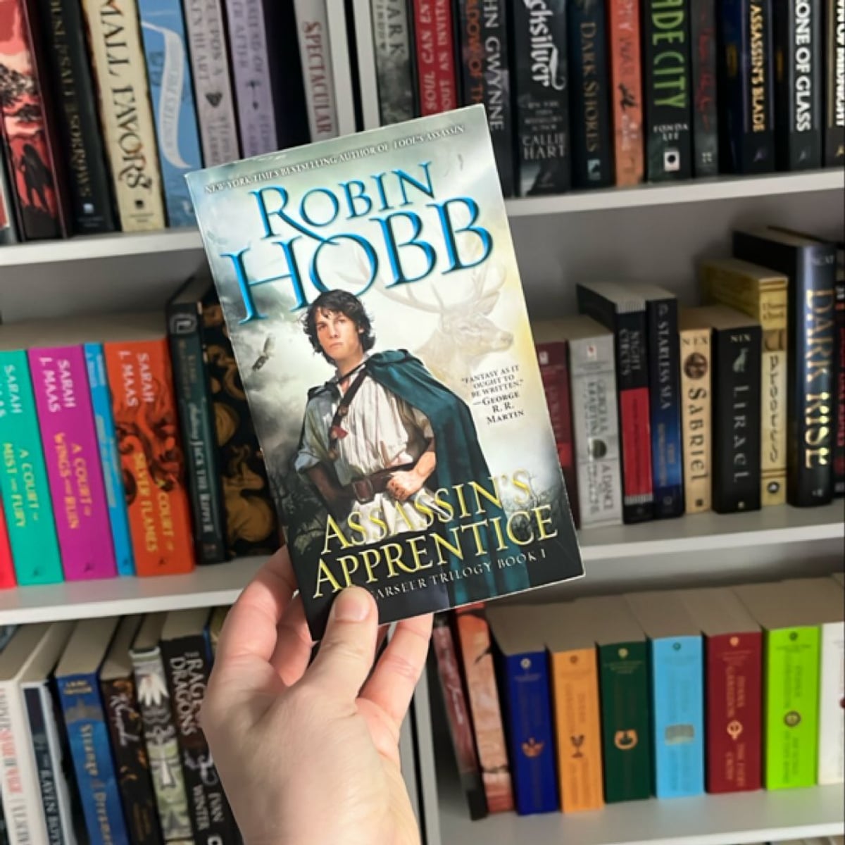 Assassin's Apprentice by Robin Hobb