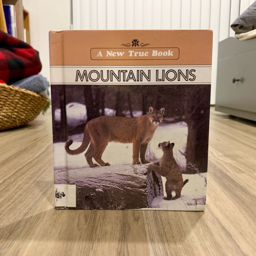 Mountain Lions by David Petersen, Hardcover | Pangobooks