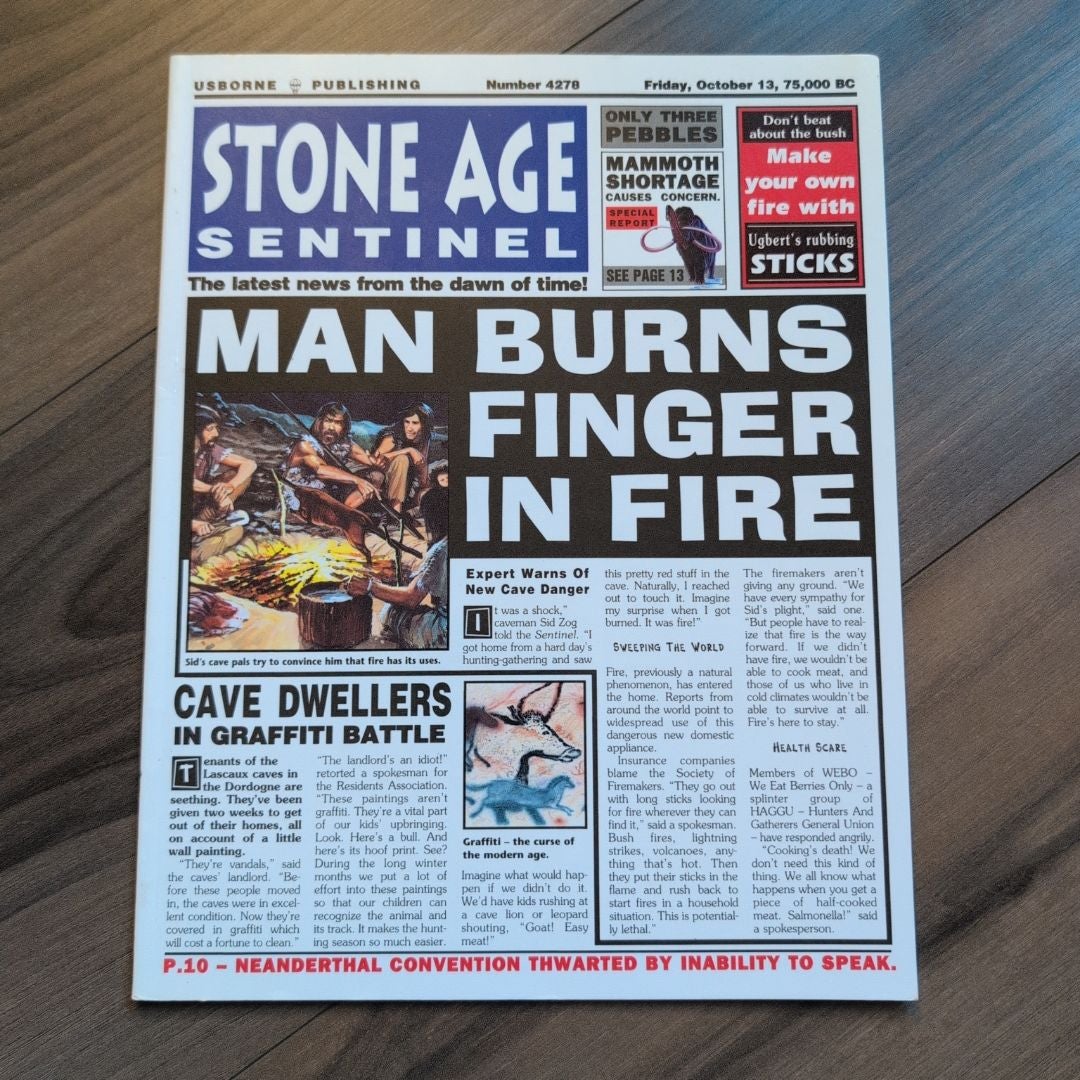 Stone Age Sentinel by Fergus Fleming, Paul Dowswell