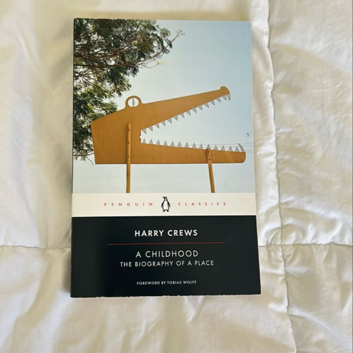 A Childhood by Harry Crews, Tobias Wolff
