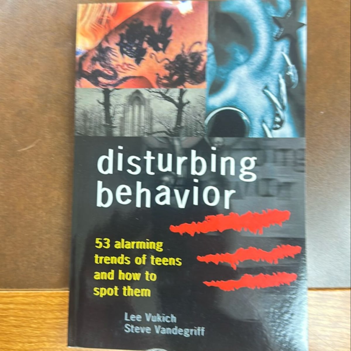 Disturbing Behavior by Vukich