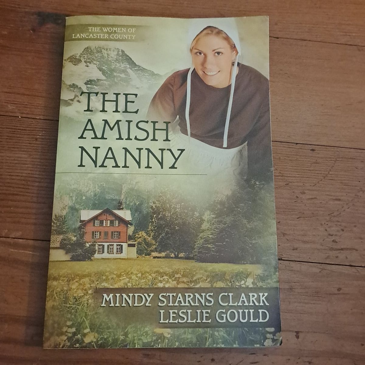 The Amish Nanny by Mindy Starns Clark, Leslie Gould