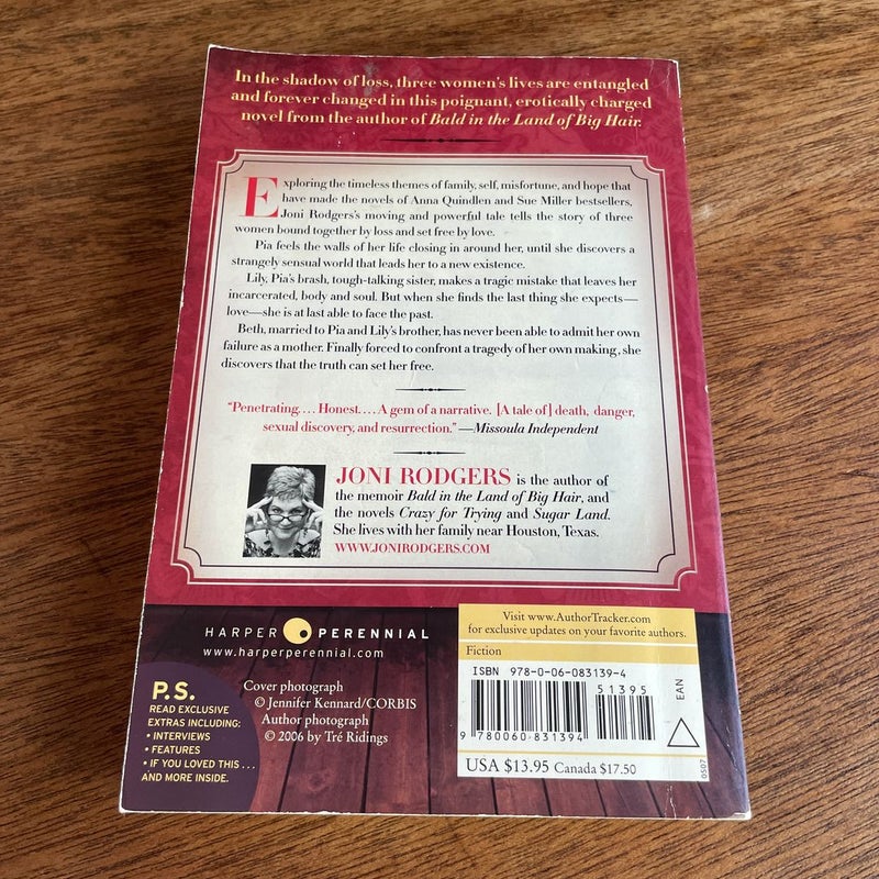 The Secret Sisters by Joni Rodgers, Paperback | Pangobooks