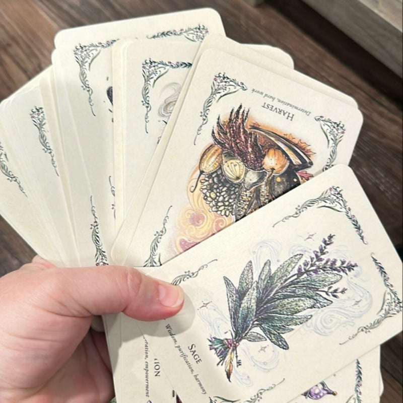 The Green Witch's Oracle Deck by Arin Murphy-Hiscock