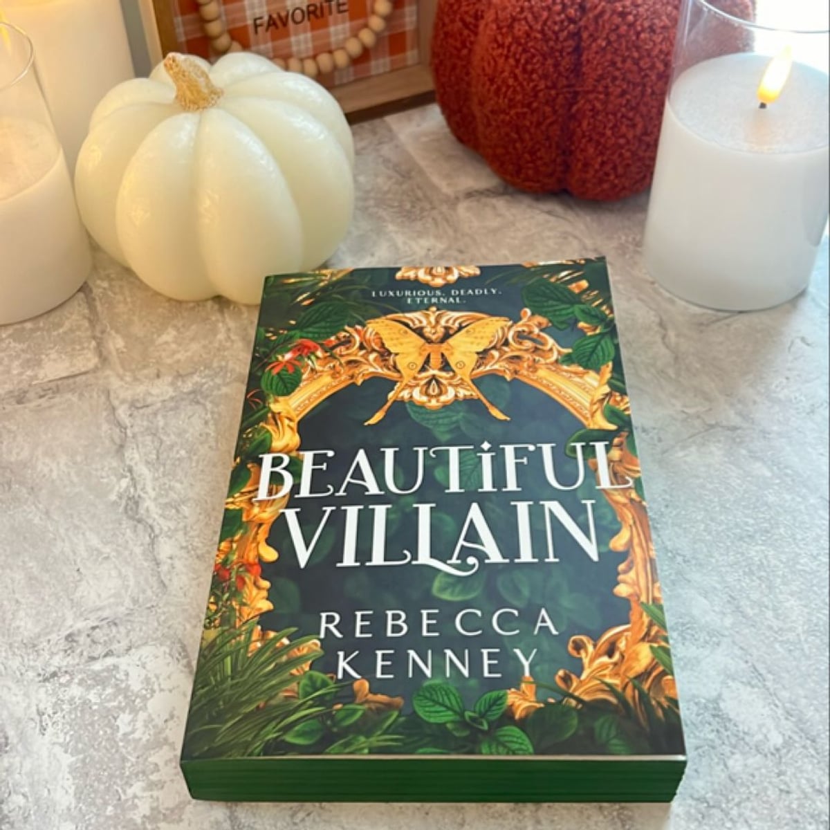 Beautiful Villain by Rebecca Kenney, Paperback | Pangobooks