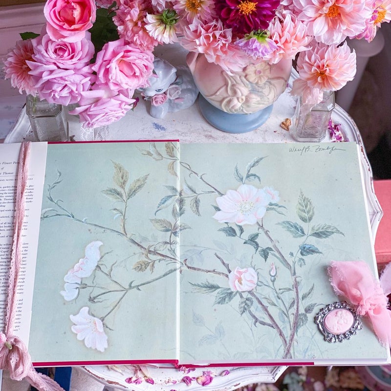 Complete Flower Paintings and Drawings of Graham Stuart Thomas by Graham S. Thomas