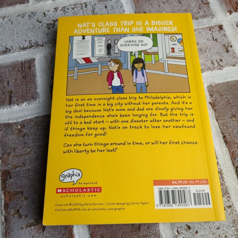 All Is Nat Lost: a Graphic Novel (Nat Enough #5) by Maria Scrivan