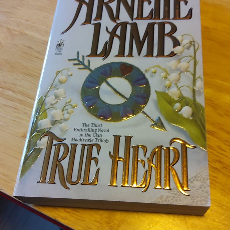 True Heart by Arnette Lamb, Paperback | Pangobooks