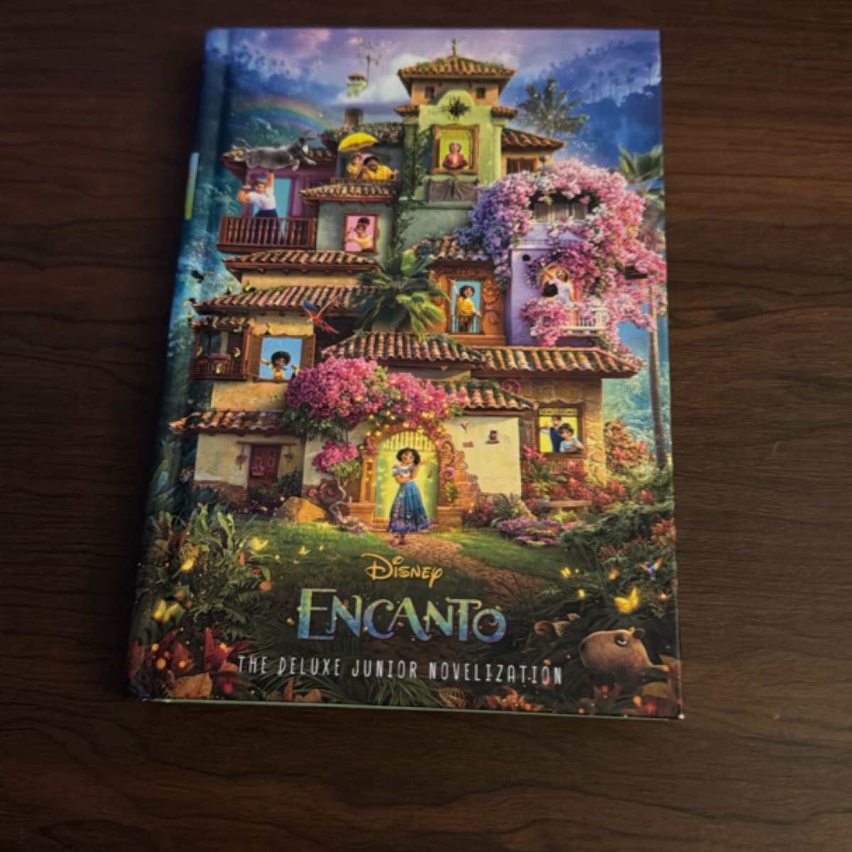 Disney Encanto: the Deluxe Junior Novelization (Disney Encanto) by ...