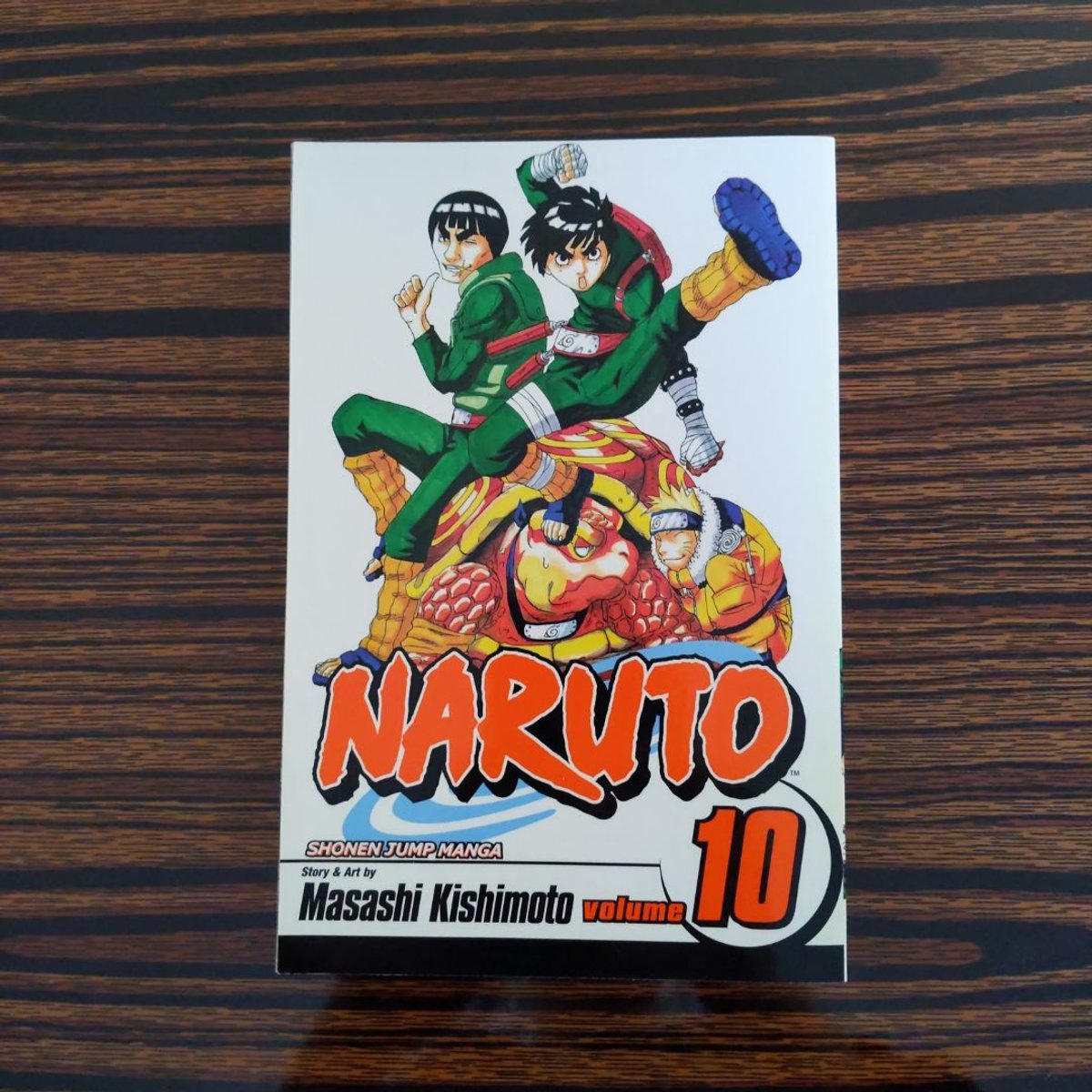 Naruto, Vol. 10 by Masashi Kishimoto