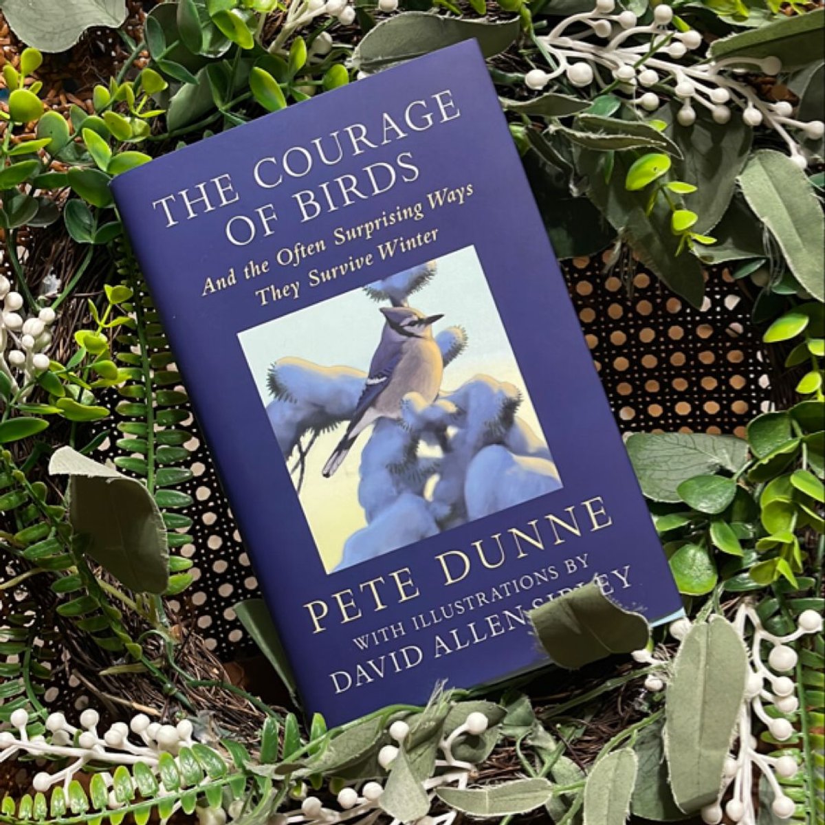 The Courage of Birds by Pete Dunne