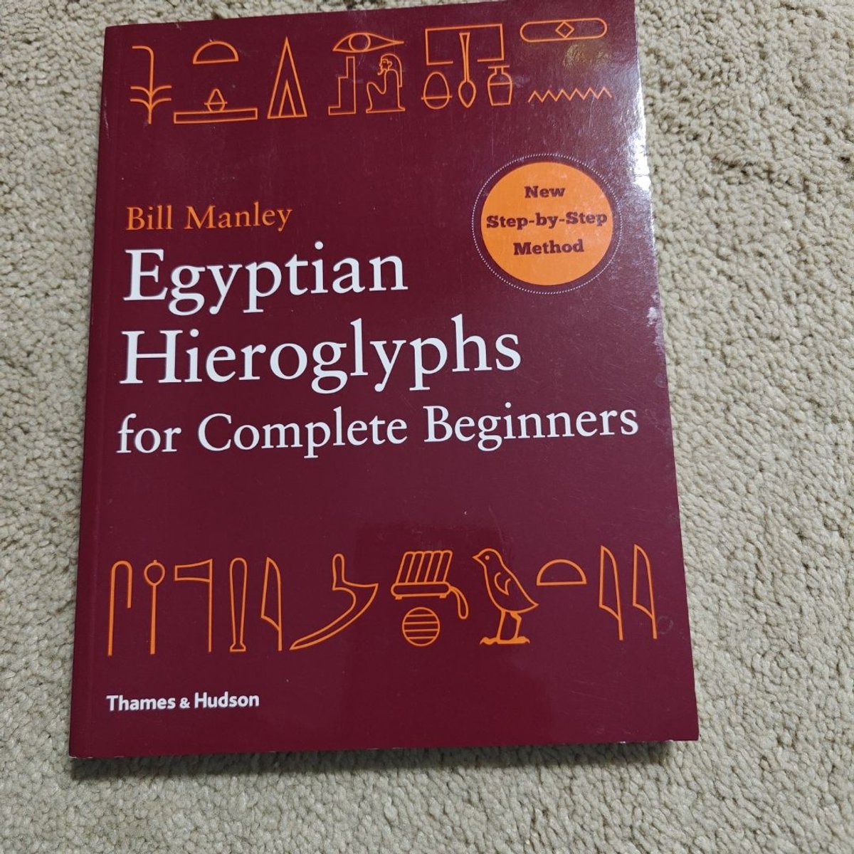 Egyptian Hieroglyphs for Complete Beginners by Bill Manley