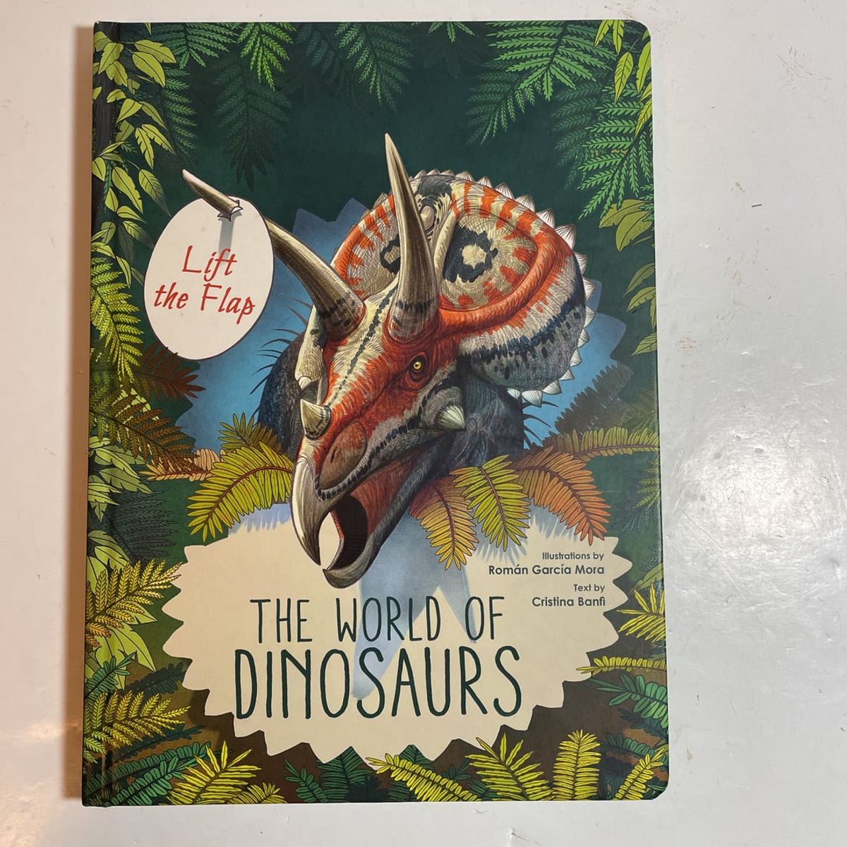 The World of Dinosaurs (Lift the Flap) by Cristina Bandi, Hardcover ...