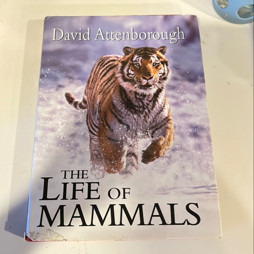 The Life of Mammals by David Attenborough