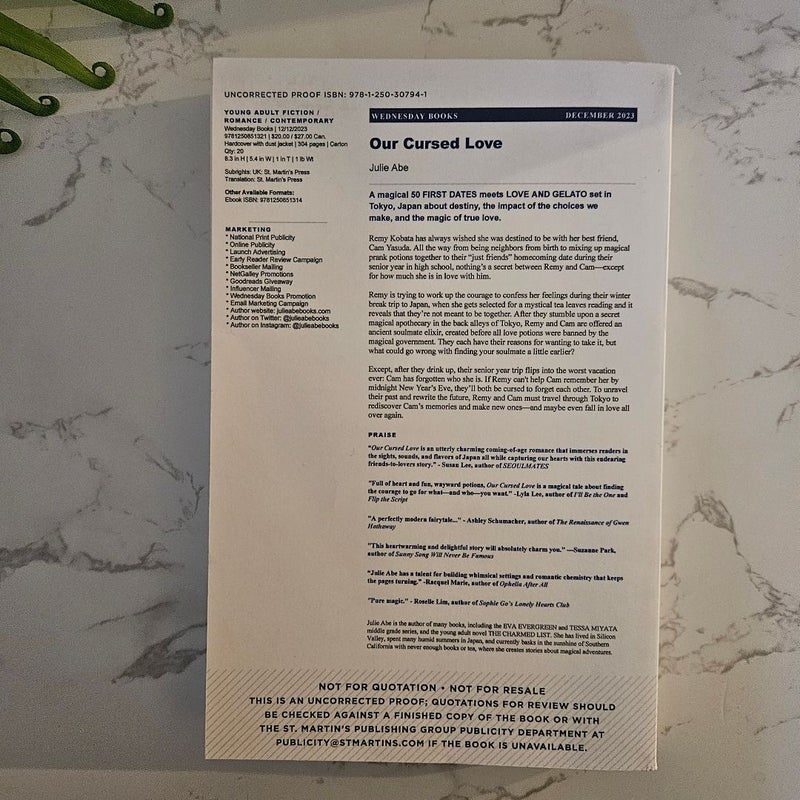 Our Cursed Love by Julie Abe